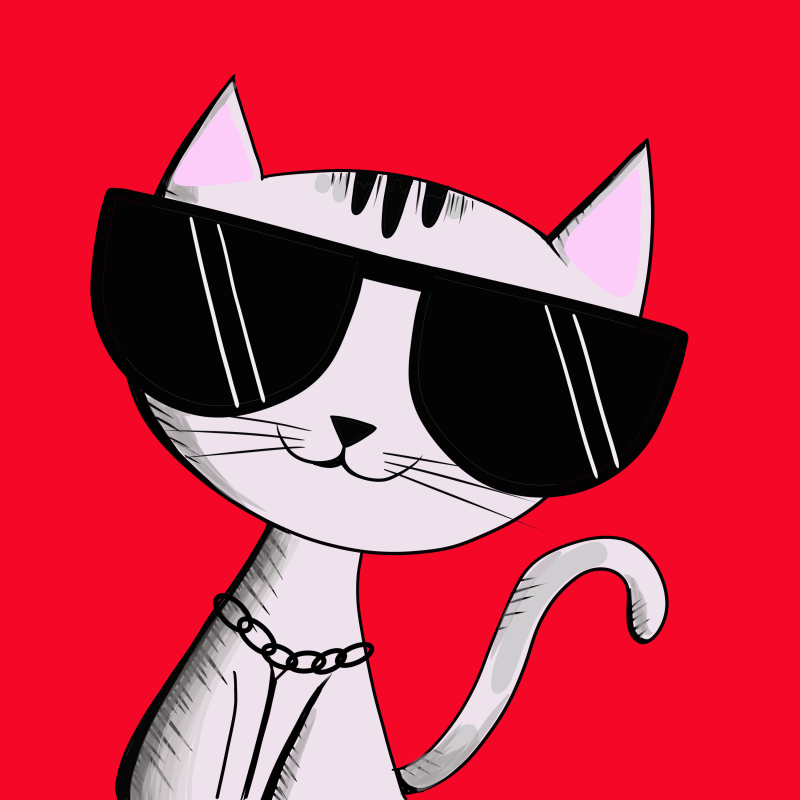 Algo Spectacular Cats algo-spectacular-cats